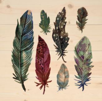 abstract feather drawing