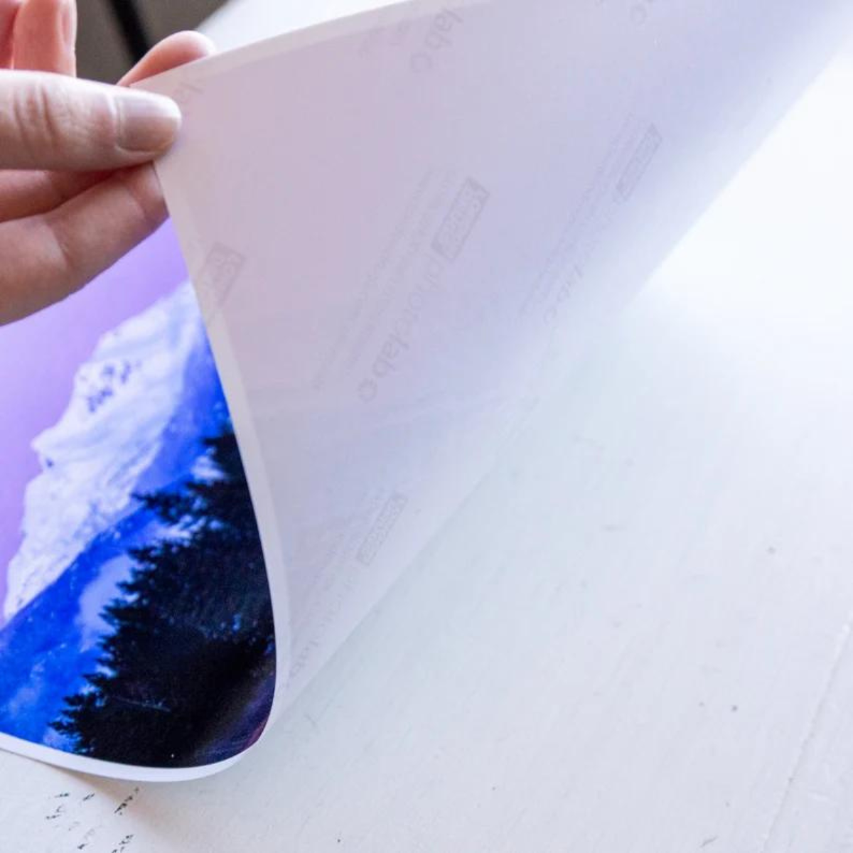 BC Wall Art Print - Alpen Glow at Alta Lake in Whistler by Kyle Graham ...